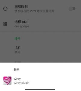 手把手教你使用Docker搭建shadowsocks + v2ray-plugin科学上网：详细教程 | 墨风如雪博客