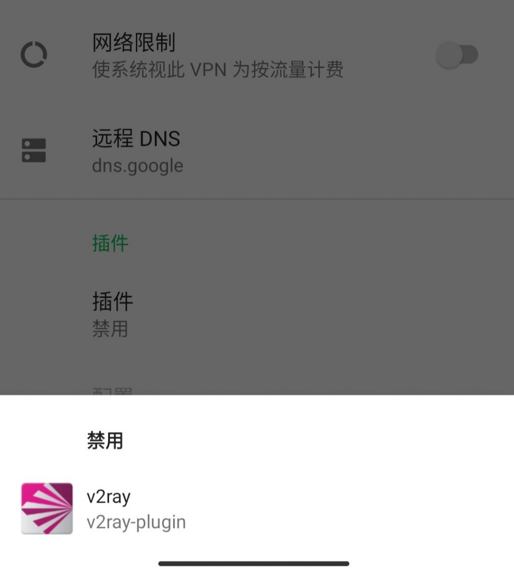 手把手教你使用Docker搭建shadowsocks + v2ray-plugin科学上网：详细教程 | 墨风如雪博客